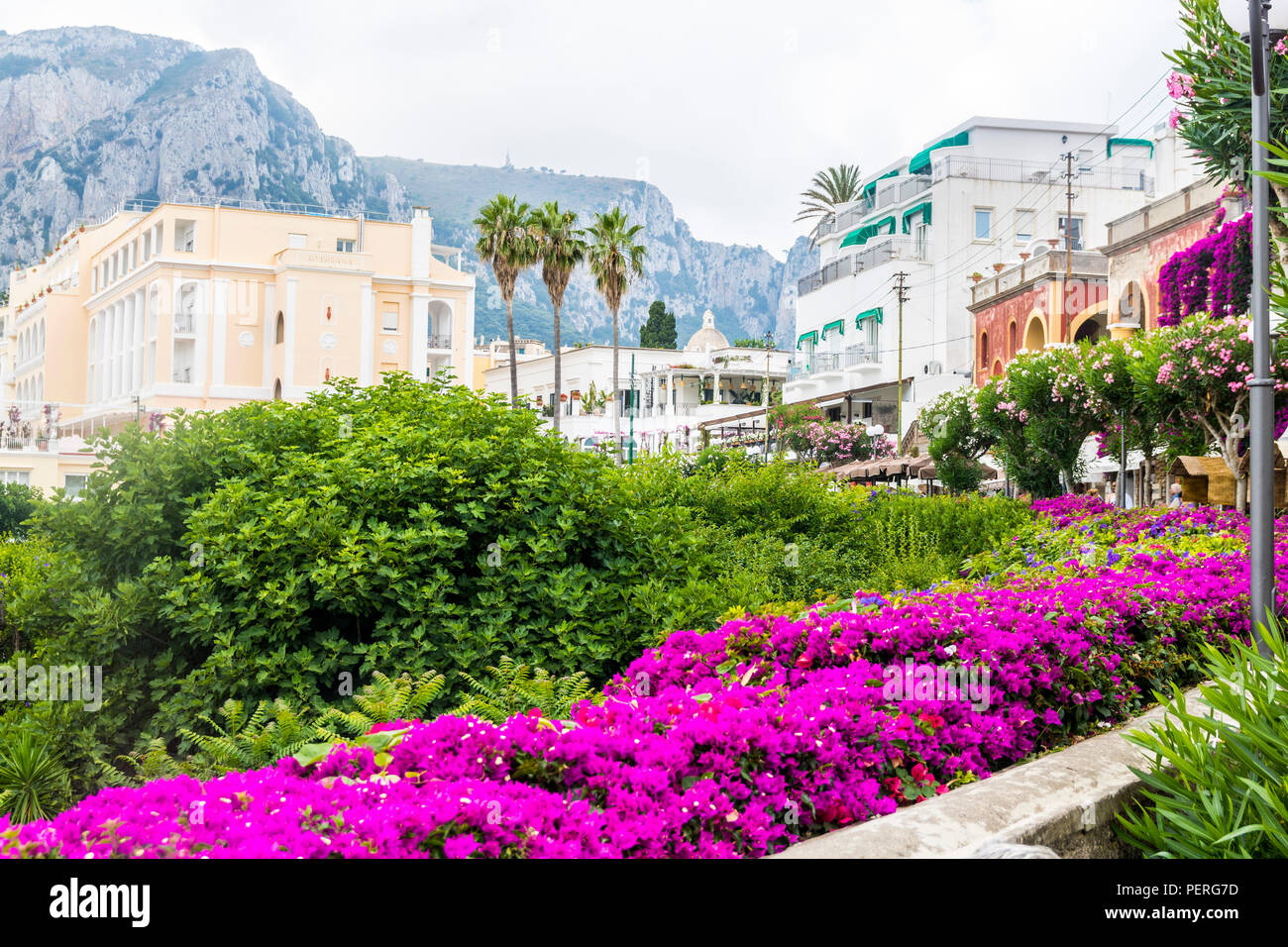 Isle of Capri, hotels palm trees lush flowers bushes, buildings, Amalfi ...