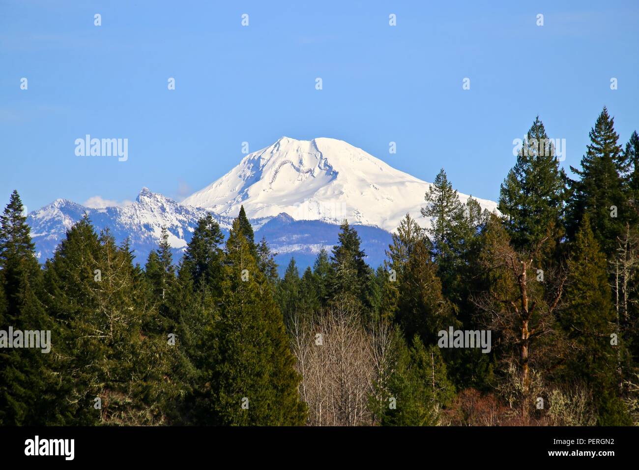 Evergreen mountain forest hi-res stock photography and images - Alamy