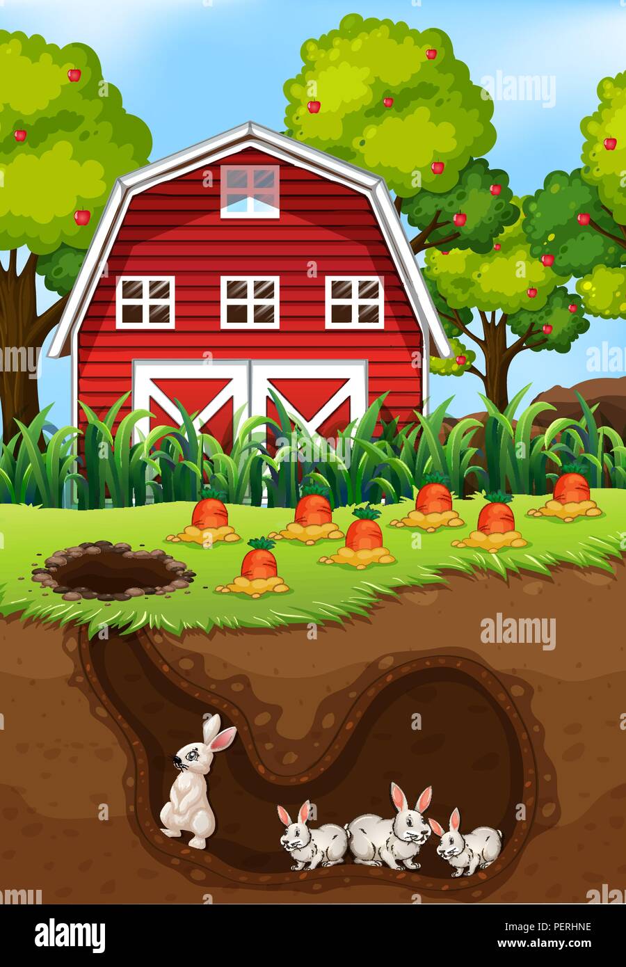 A group of rabbit living underground illustration Stock Vector Image ...
