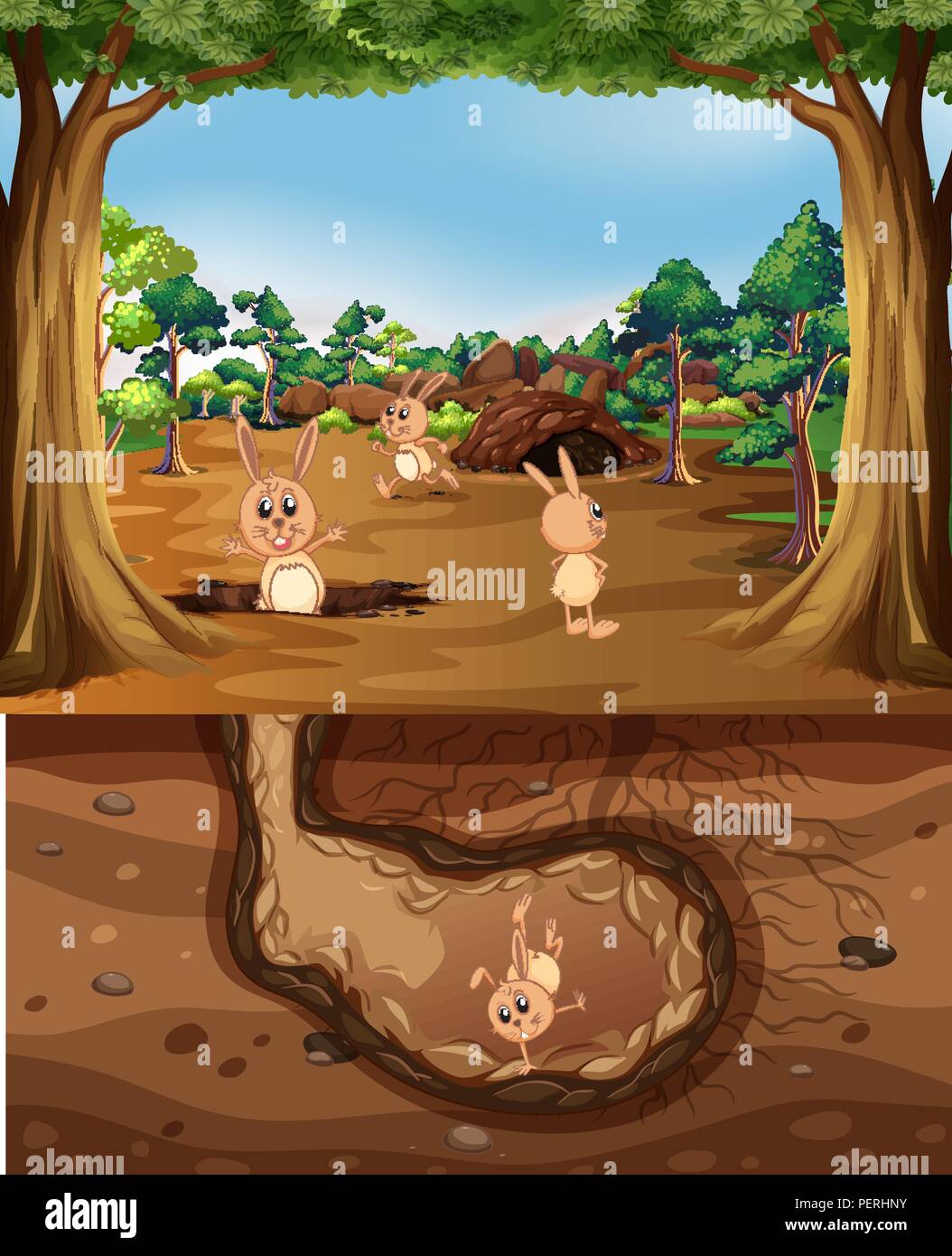 Rabbit in home Stock Vector Images - Alamy