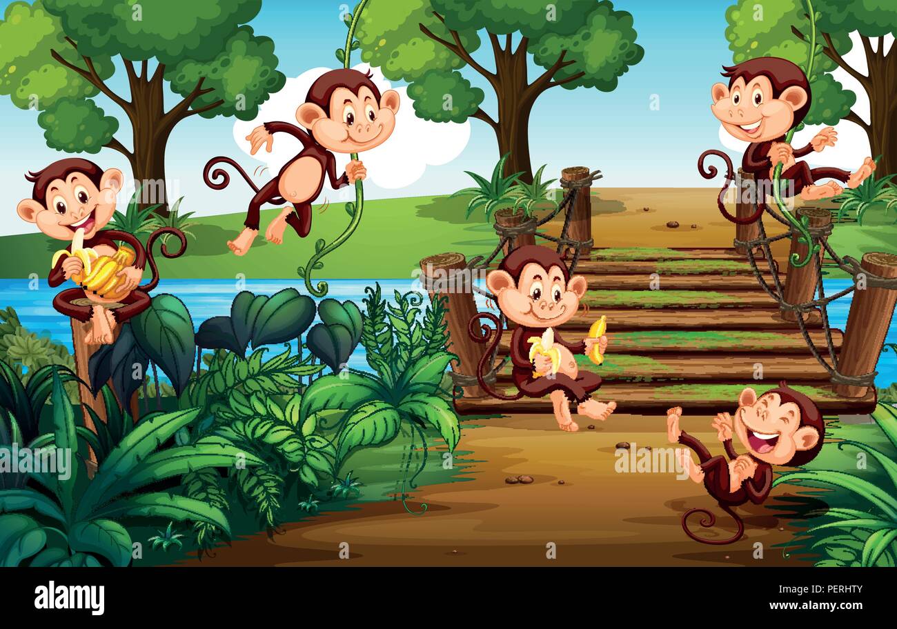 A group of monkey at the park illustration Stock Vector Image & Art - Alamy
