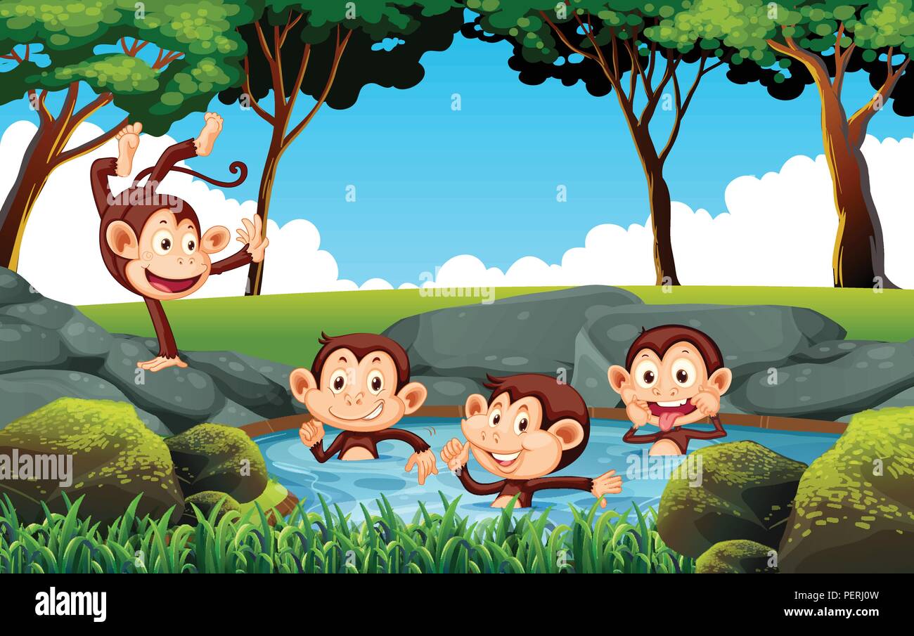 Mokey playing in water illustration Stock Vector Image & Art - Alamy