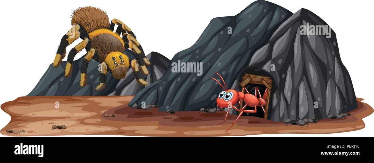Insect at the stone cave illustration Stock Vector Image & Art - Alamy