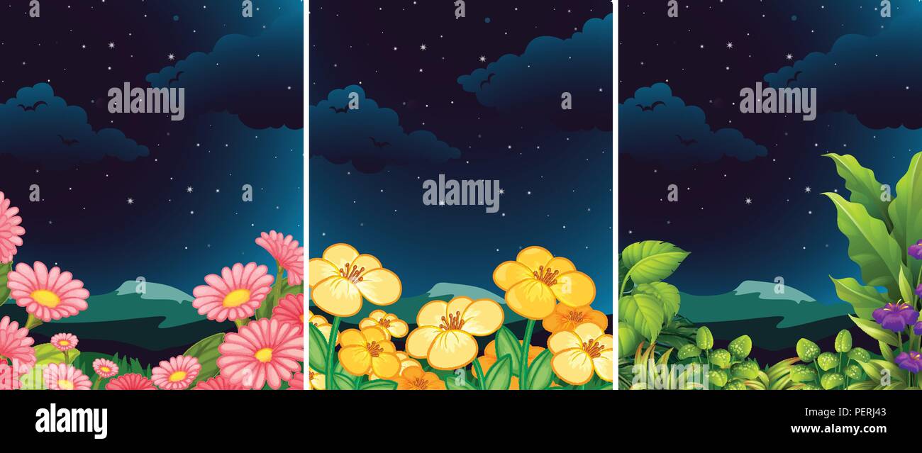 A set of flower in nature at night illustration Stock Vector Image ...