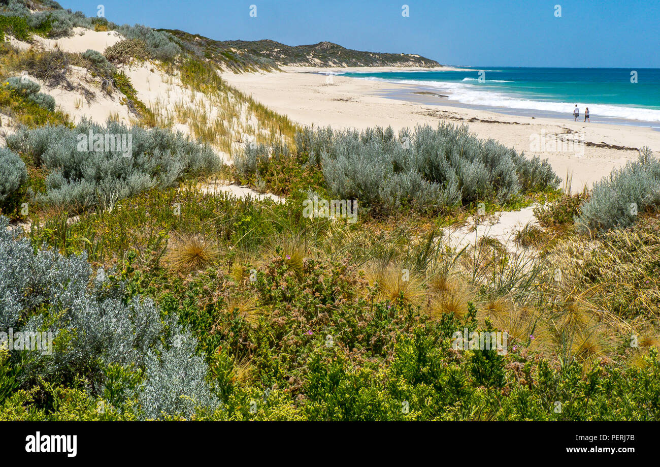 Beach, Coast, Yanchep Stock Photo - Alamy