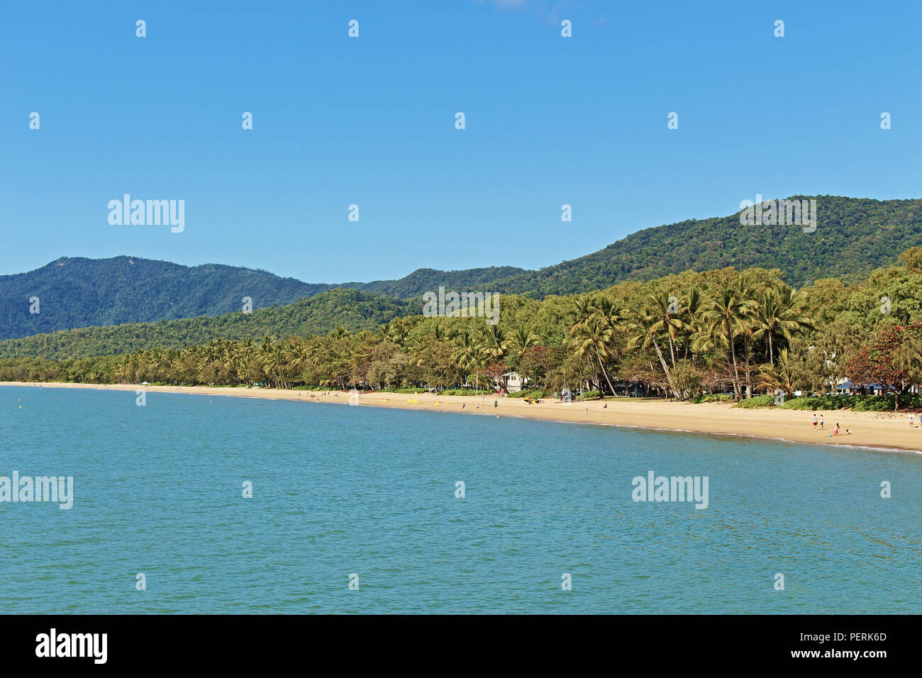 Palm Cove beach and the main swimming area flanked by palm trees along ...