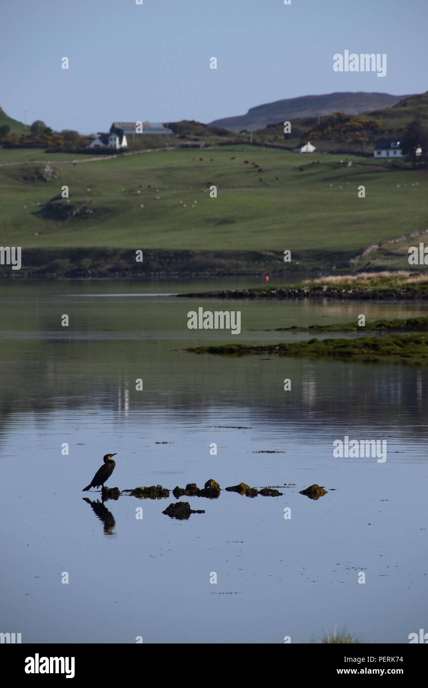 Loch Treaslane on Skye – an inlet in the sea-loch of Loch Snizort Beag ...