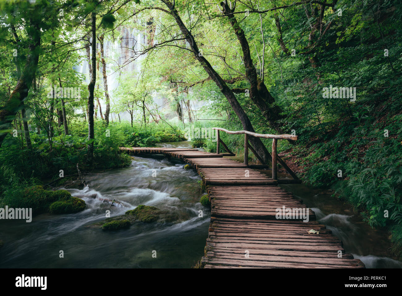 Wooden path across small creek in summer green forest Stock Photo - Alamy