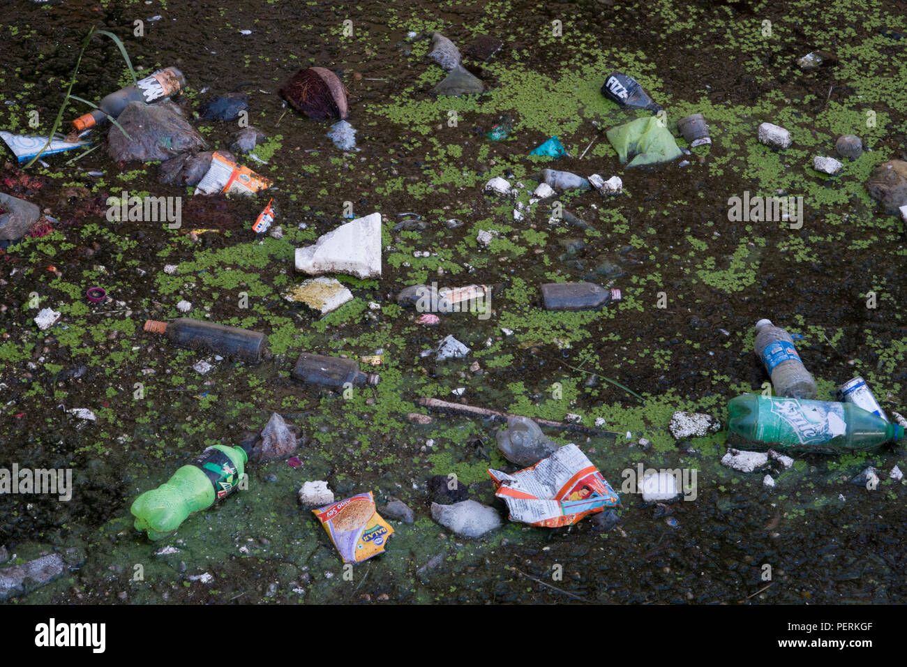 Plastic bags, bottles and other trash in Lake Pichola, Udaipur, India ...