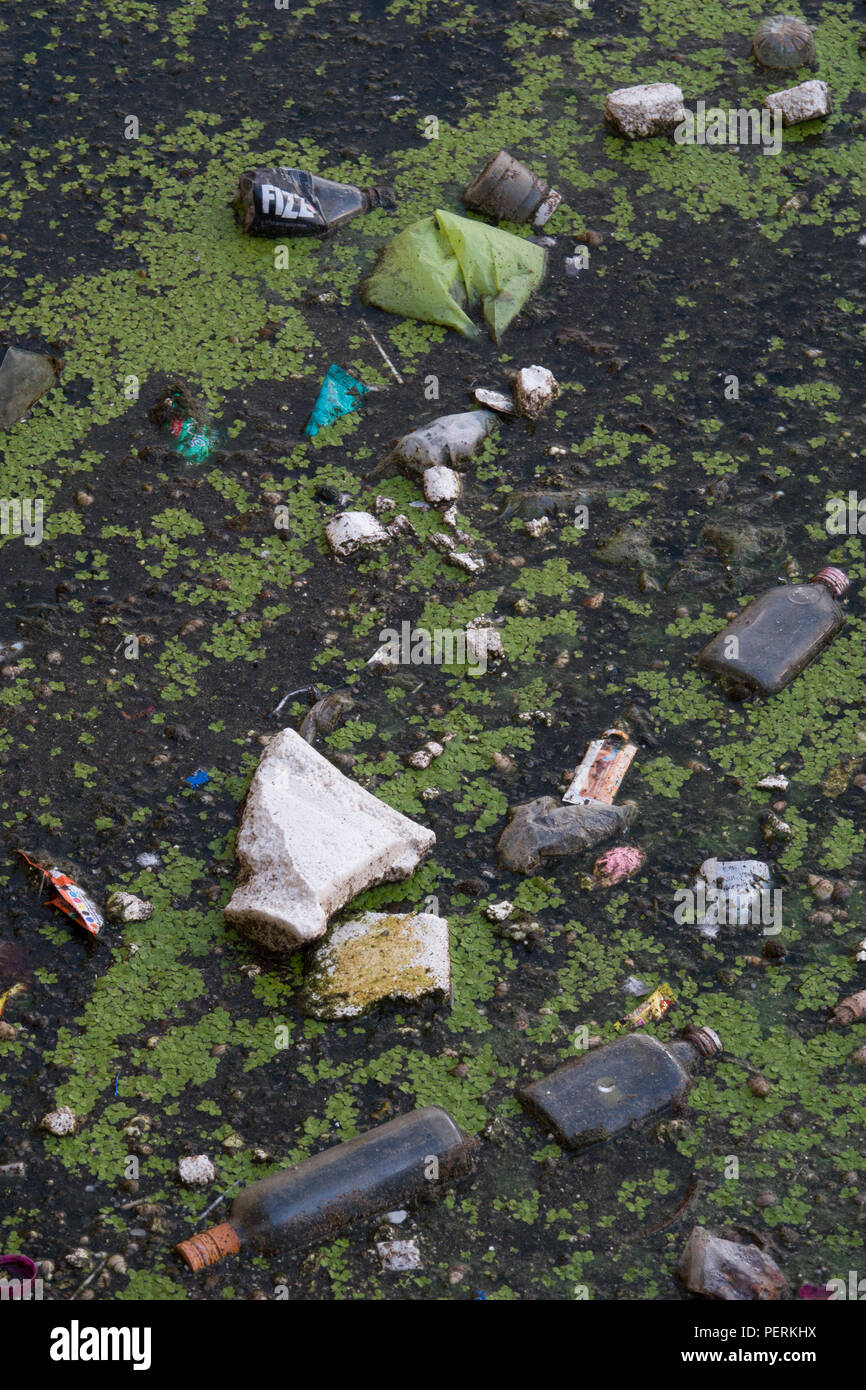 Plastic bags, bottles and other trash in Lake Pichola, Udaipur, India ...