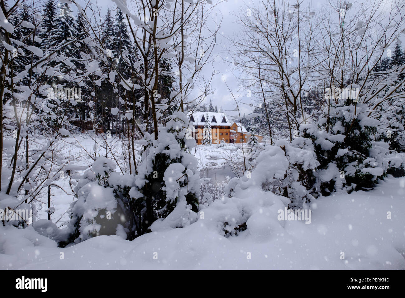 Wooden cottage in winter snowy forest Stock Photo - Alamy