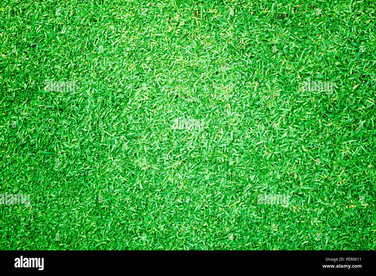 grass background Golf Courses green lawn pattern textured background ...