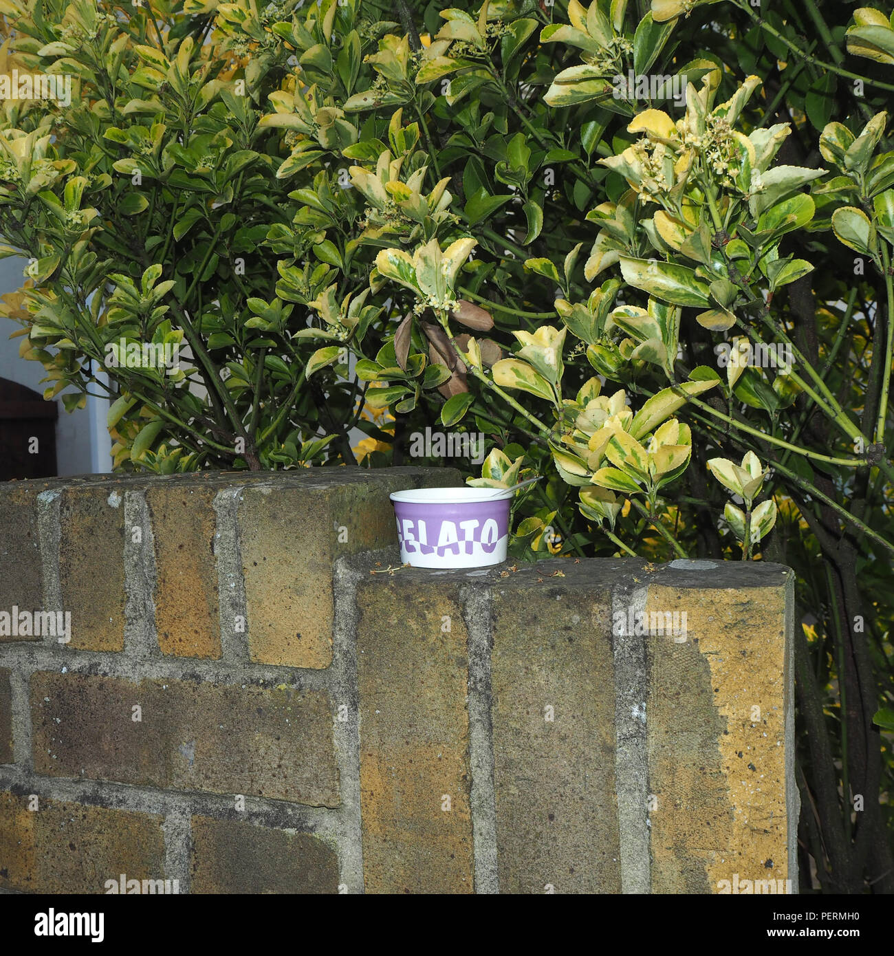 Litter & rubbish left on the street Stock Photo - Alamy