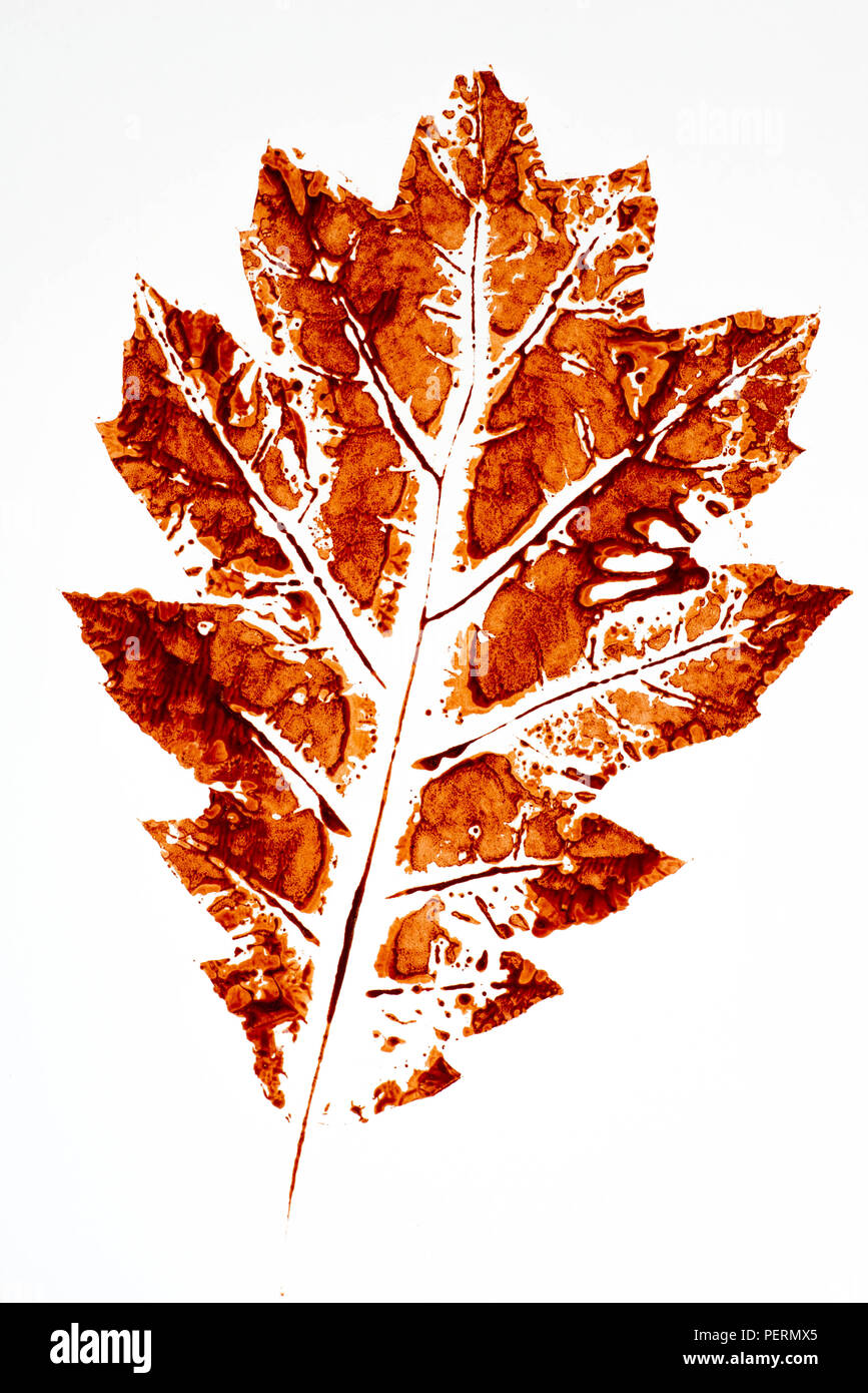 Leaf print painting hi-res stock photography and images - Alamy