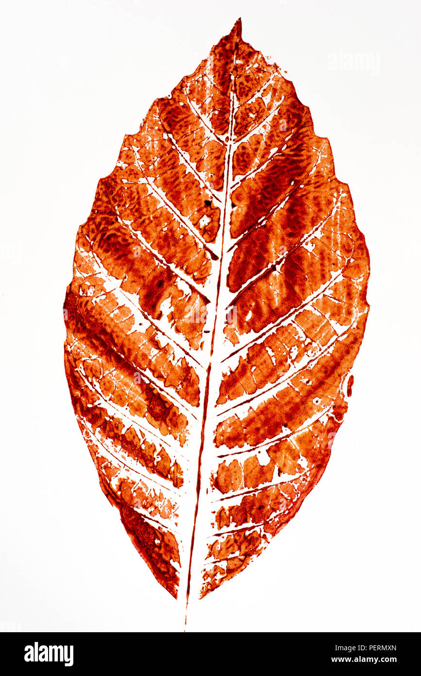 Handmade art print Cut Out Stock Images & Pictures - Alamy