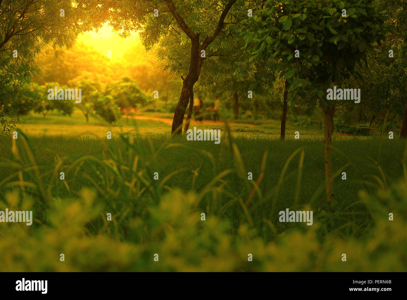 Awesome nature hi-res stock photography and images - Alamy