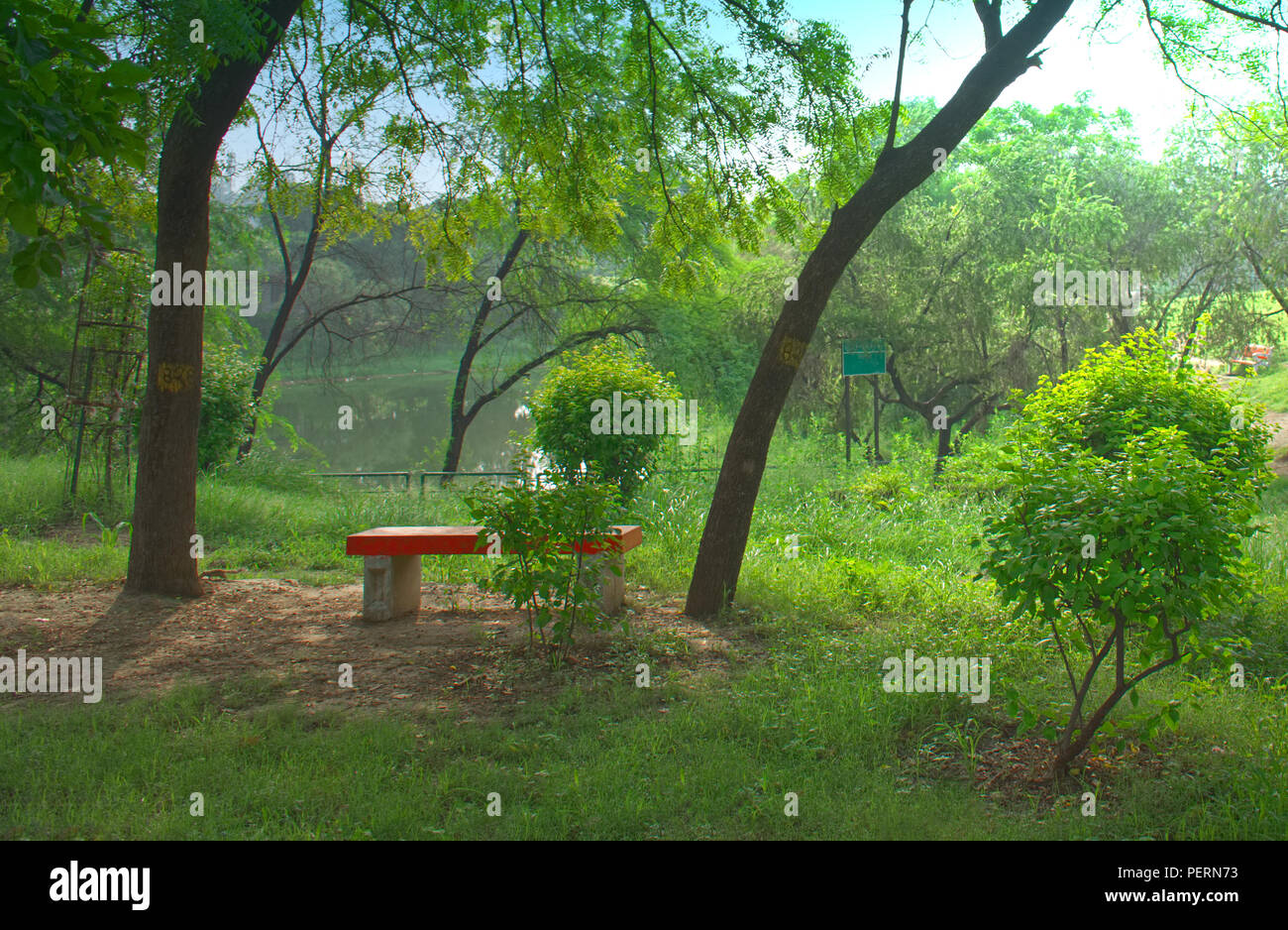 awesome nature in delhi and himachal Stock Photo - Alamy