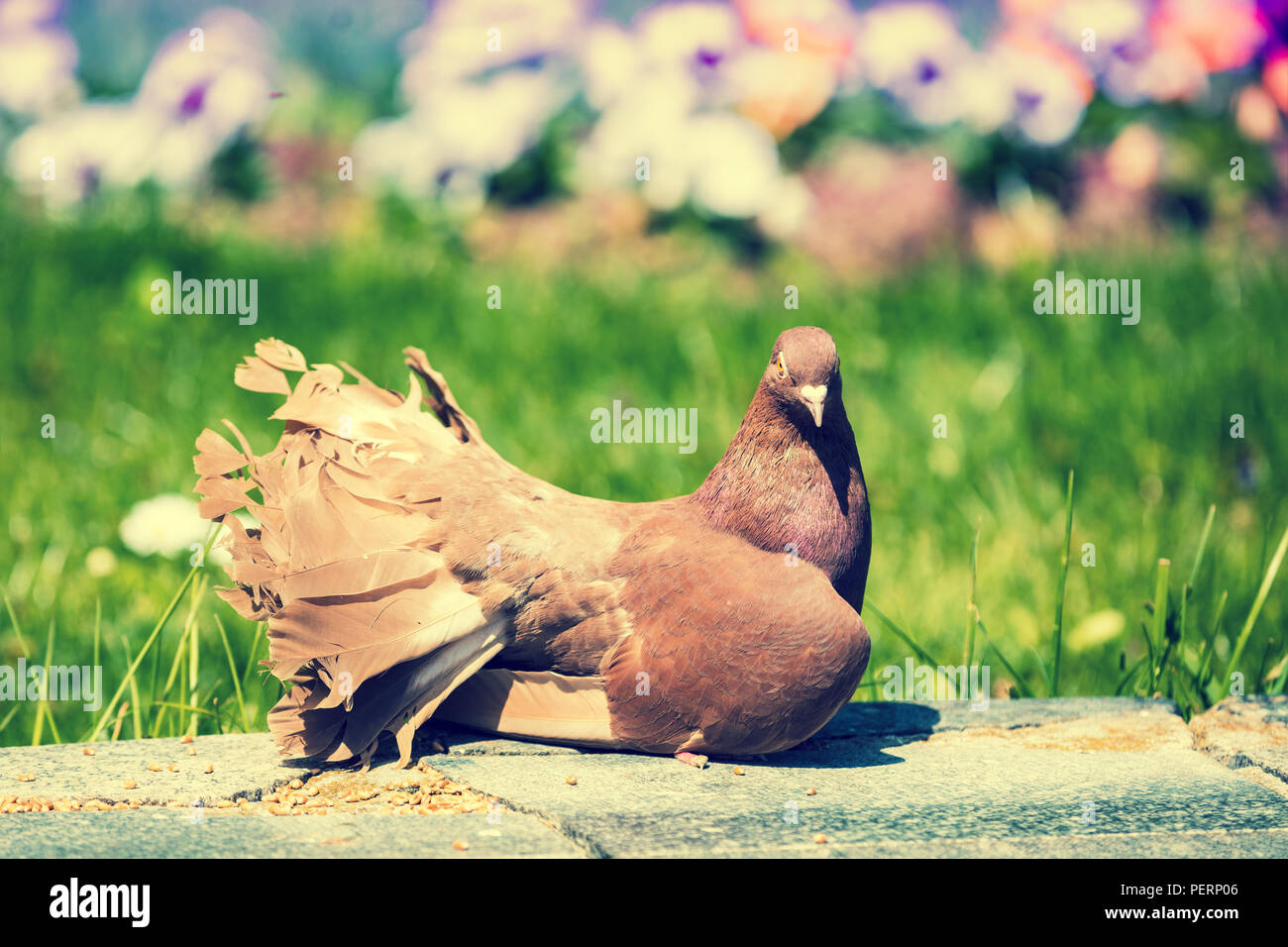 Summer mail hi-res stock photography and images - Alamy