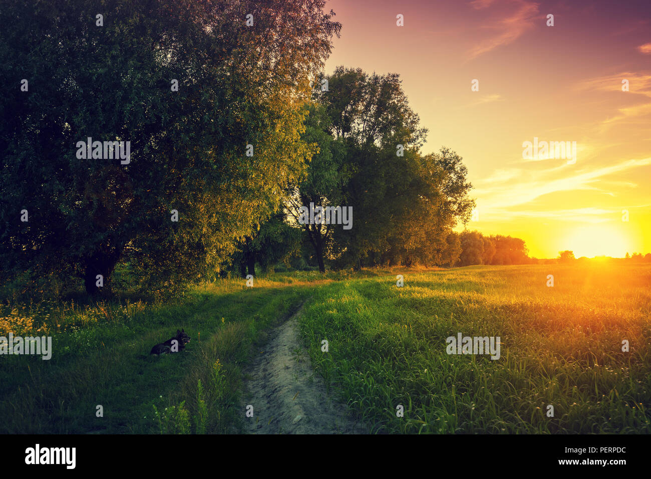 Rural landscape in evening. Village and dirt road at sunset Stock Photo ...