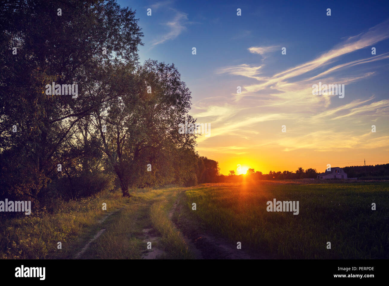 Rural landscape in evening. Village and dirt road at sunset Stock Photo ...