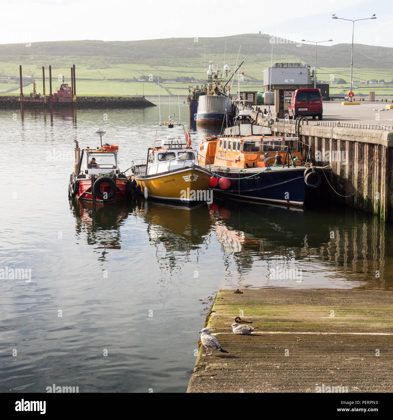Boats moored alongside the pier in the fishing port of Dingle in ...