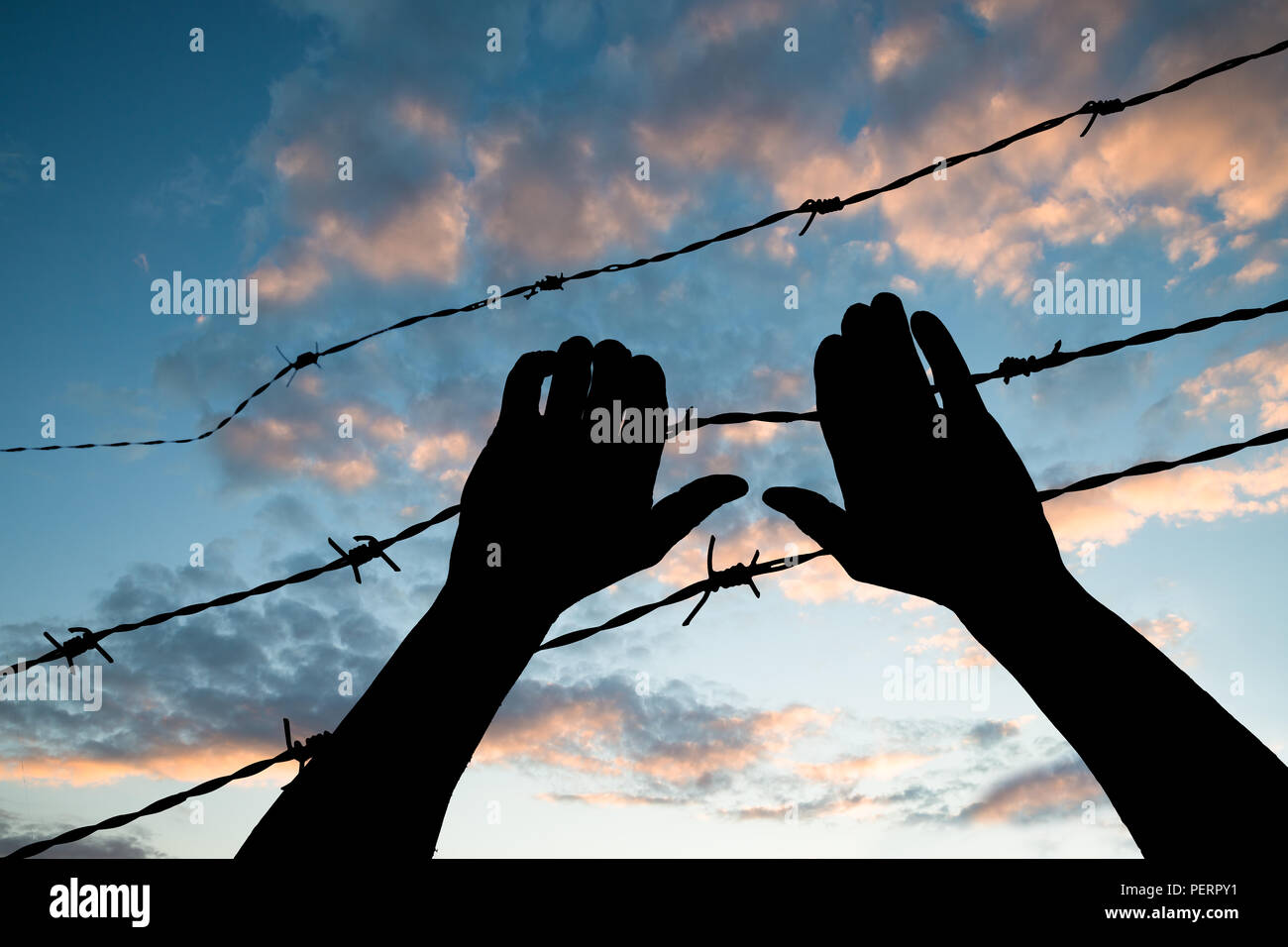 Hand with barbed wire hi-res stock photography and images - Alamy