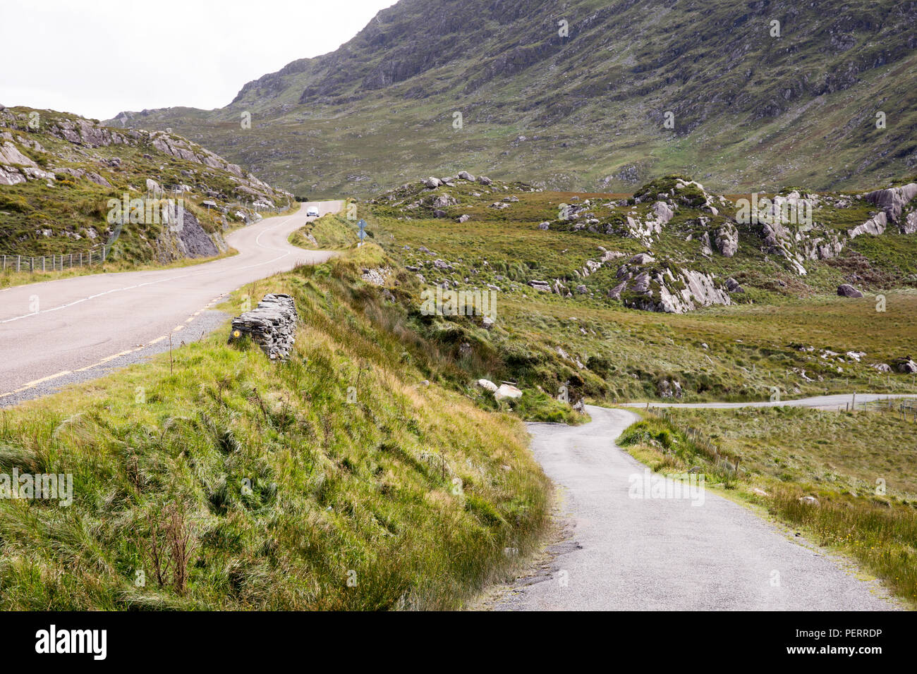 Doire na fuinse hi-res stock photography and images - Alamy