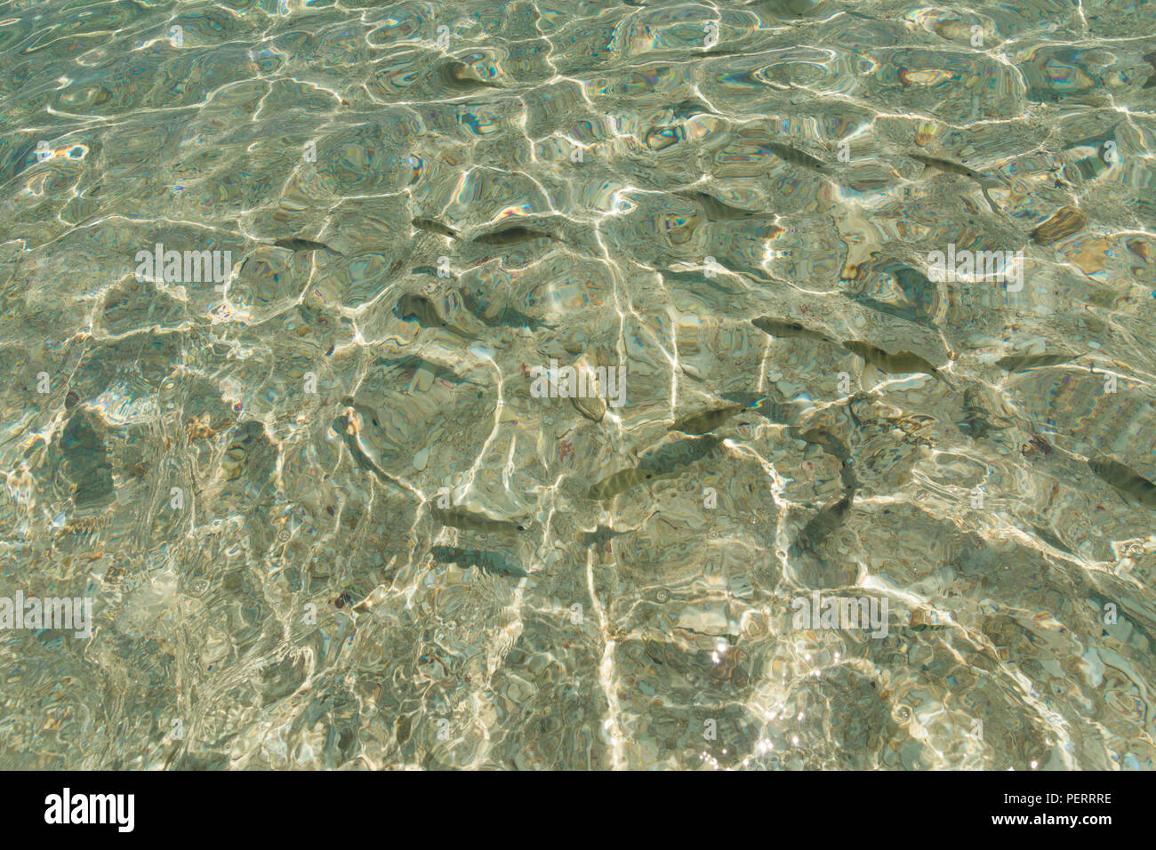 Blue water shimmers in swimming hi-res stock photography and images - Alamy