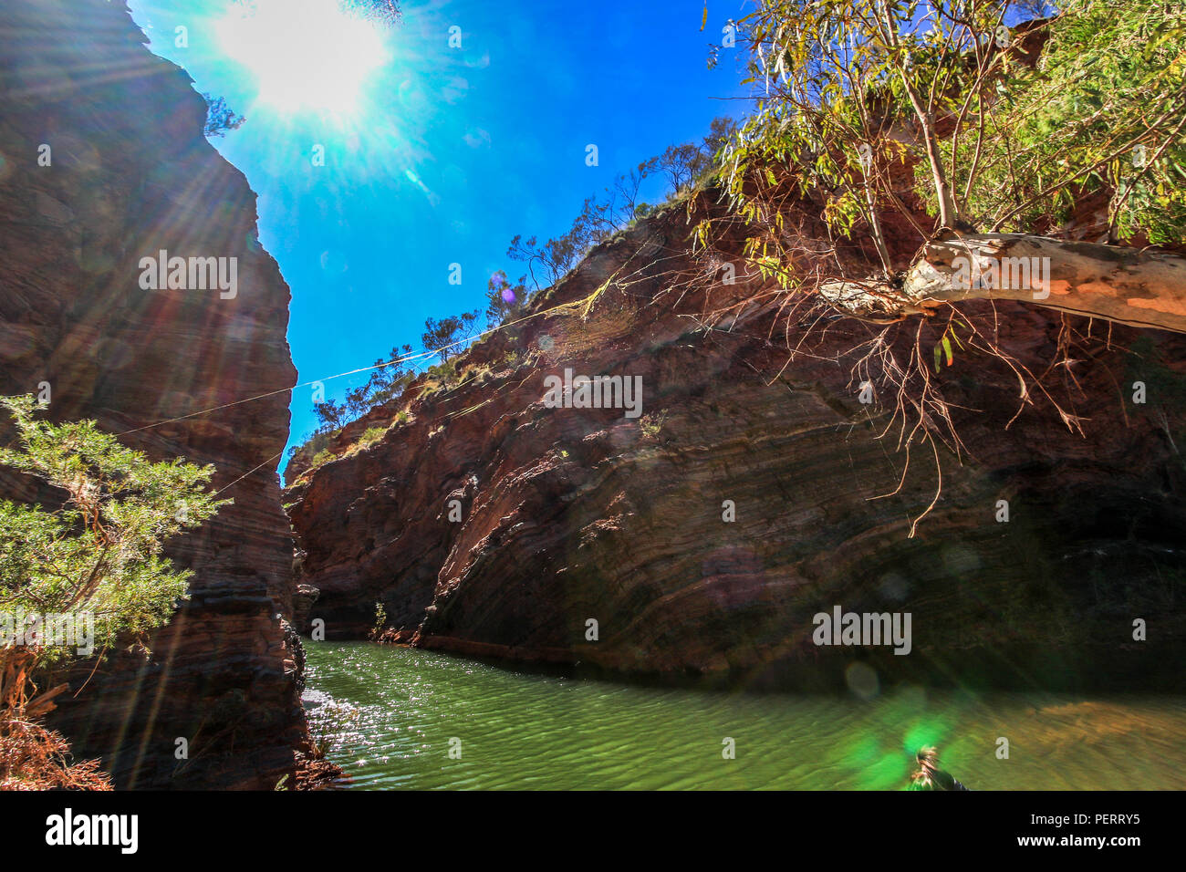 Outback gorge with red rock and trees Stock Photo - Alamy