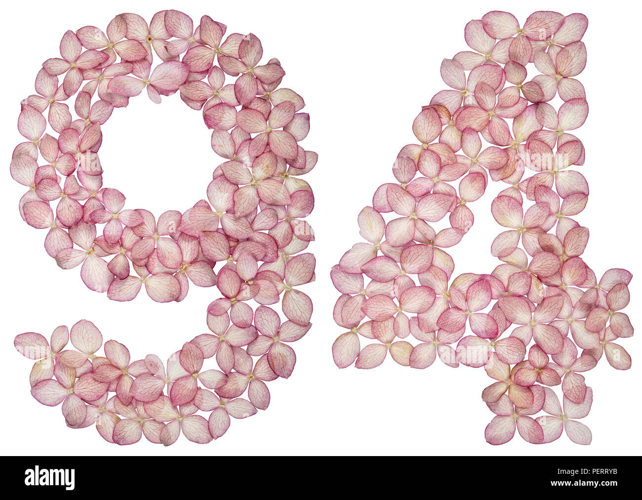 Arabic numeral 94, ninety four, from flowers of hydrangea, isolated on ...