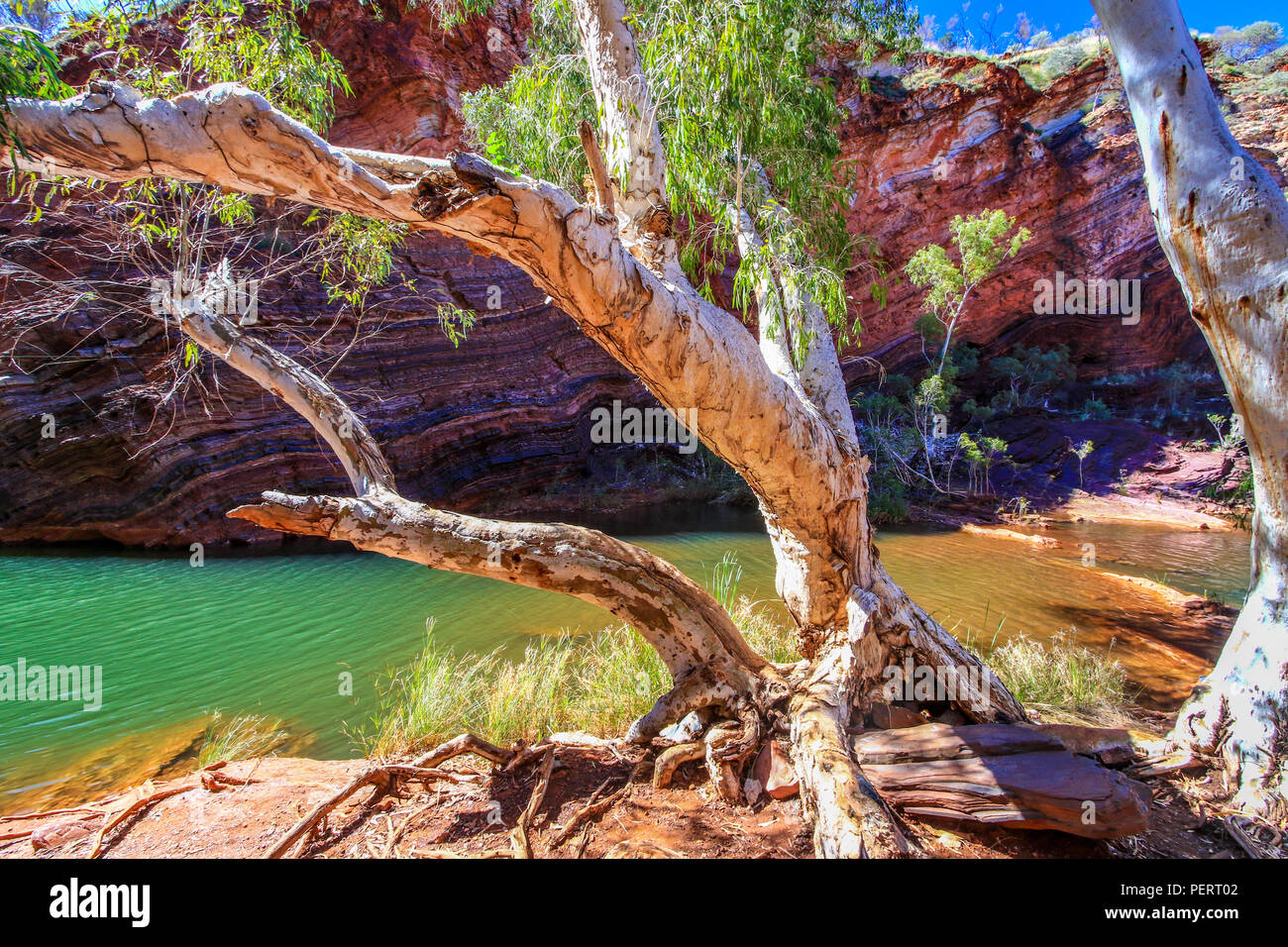 Outback gorge with red rock and trees Stock Photo - Alamy