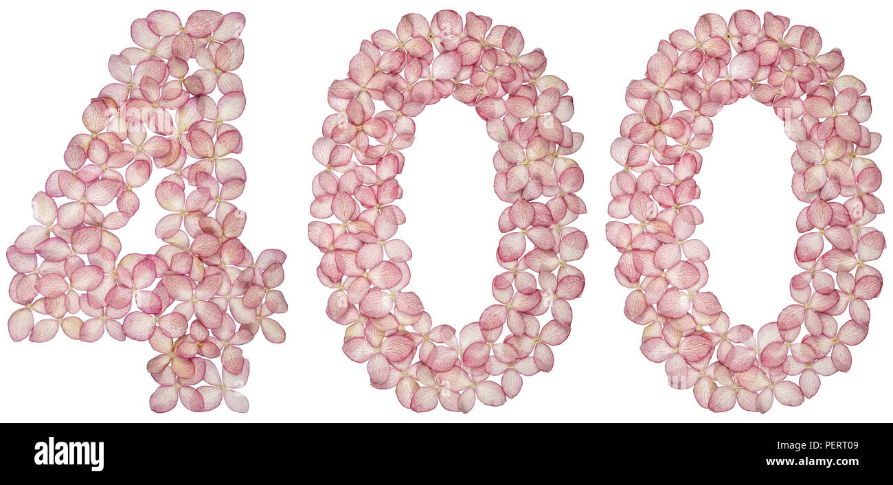Arabic numeral 400, four hundred, from flowers of hydrangea, isolated ...