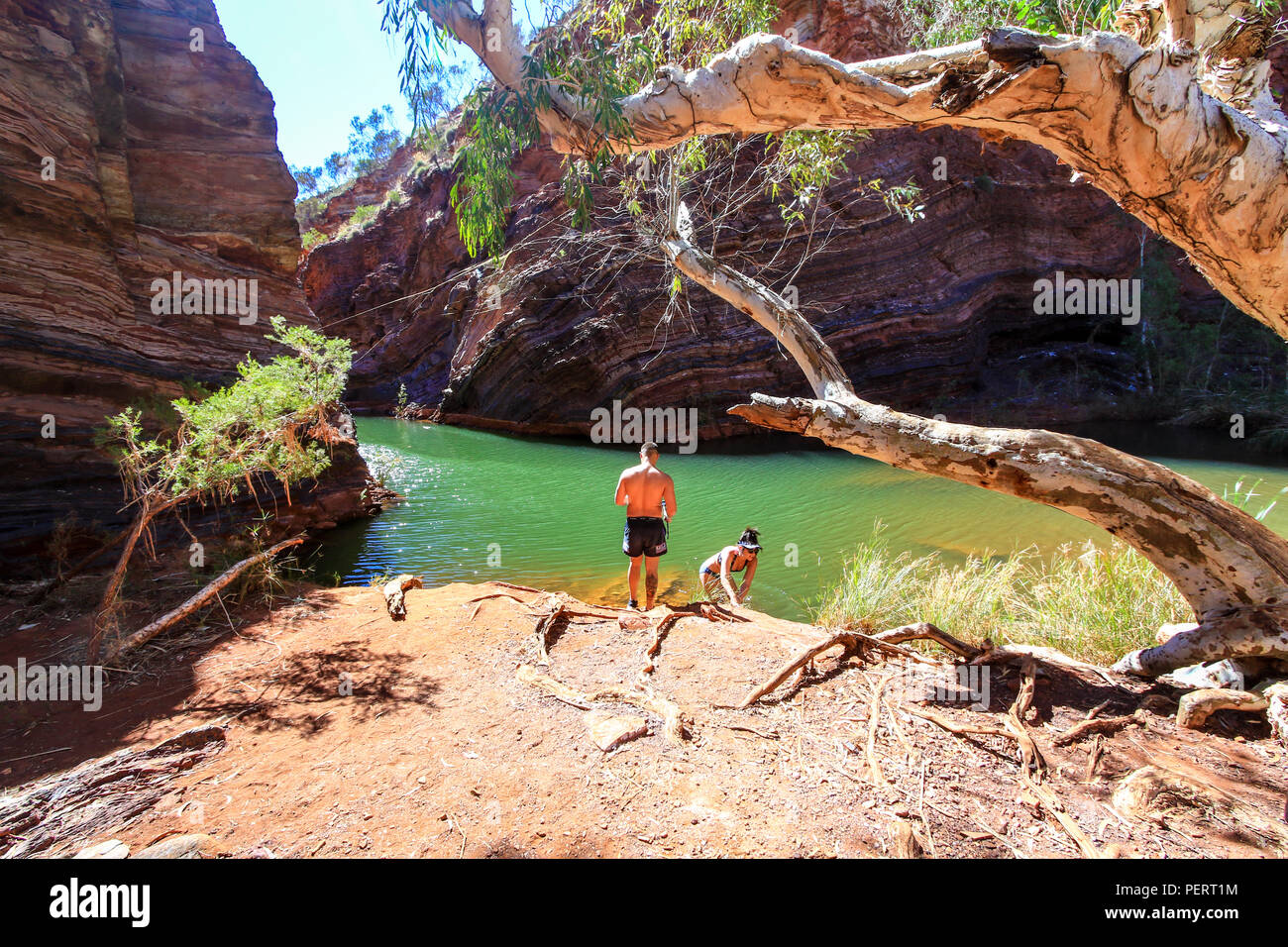 Outback gorge with red rock and trees Stock Photo - Alamy