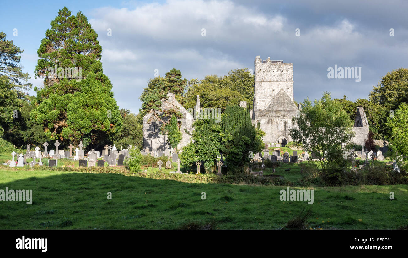 Killarney abbey hi-res stock photography and images - Alamy