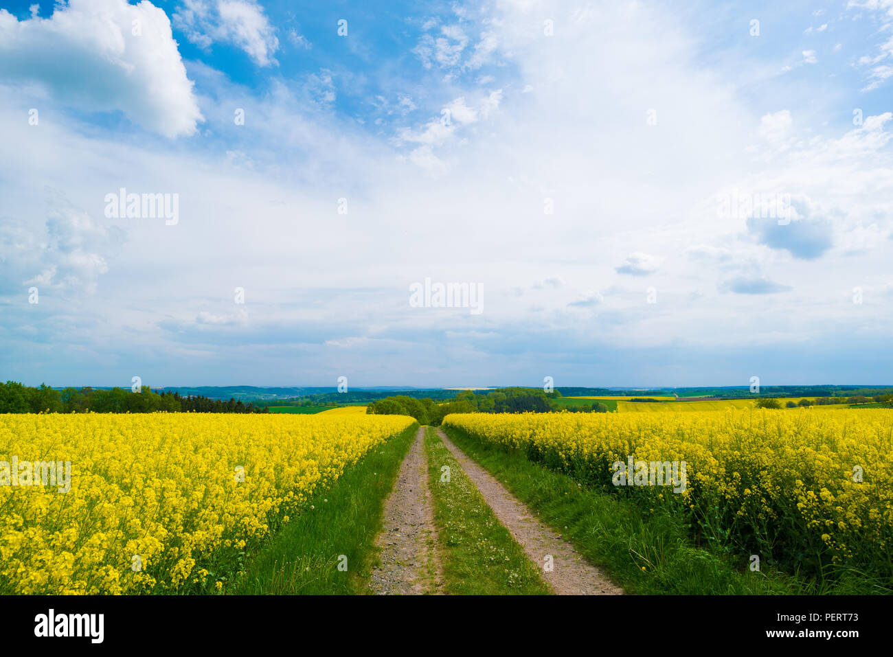 Pasture view hi-res stock photography and images - Alamy