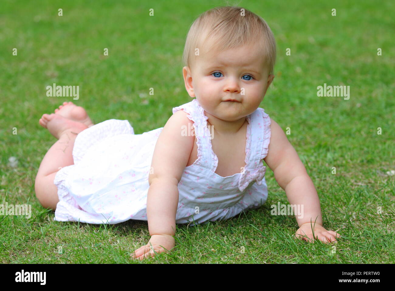 9 month old blue eyed baby girl holding herself up in the crawling ...