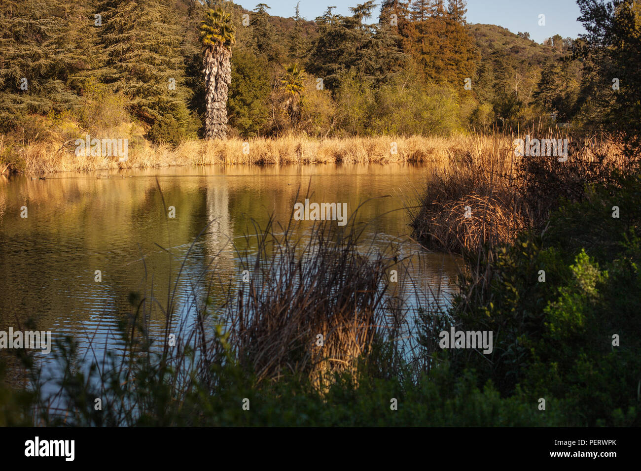 Peaceful Franklin Canyon hike in Beverly Hills, California. The park ...