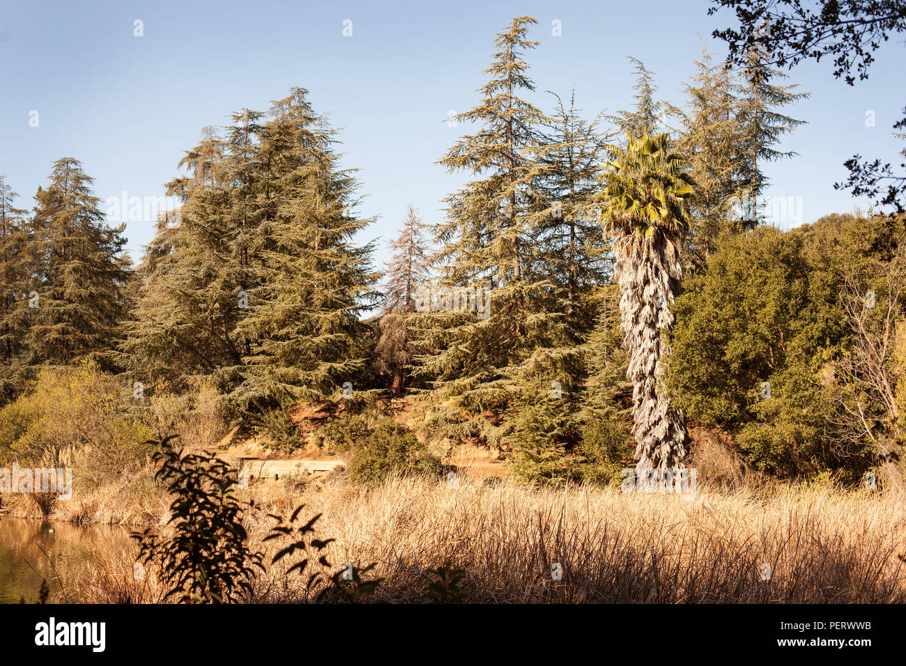 Peaceful Franklin Canyon hike in Beverly Hills, California. The park ...