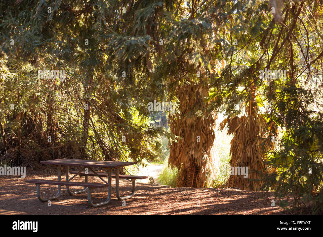 Peaceful Franklin Canyon hike in Beverly Hills, California. The park ...