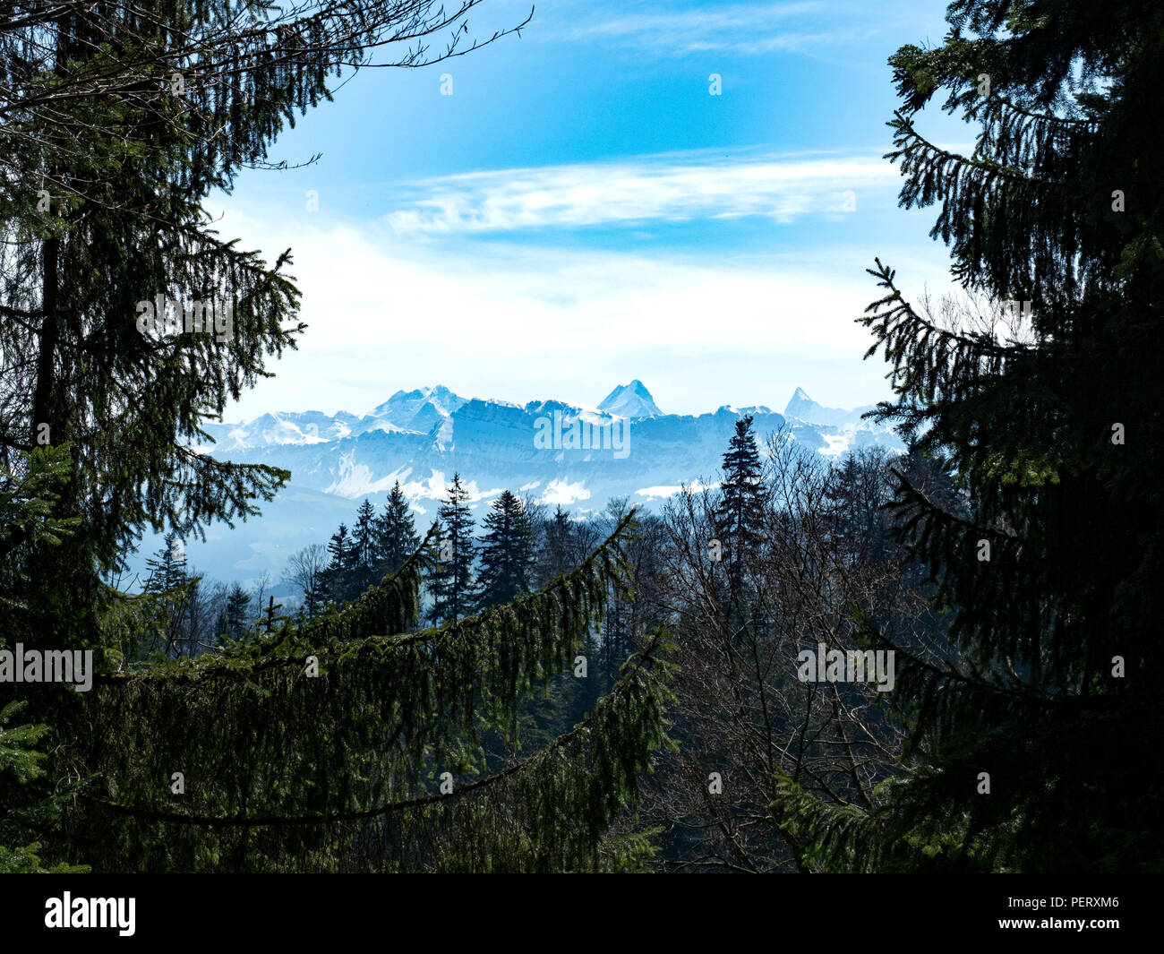 Swiss Mountains, Forest, Switzerland Stock Photo - Alamy