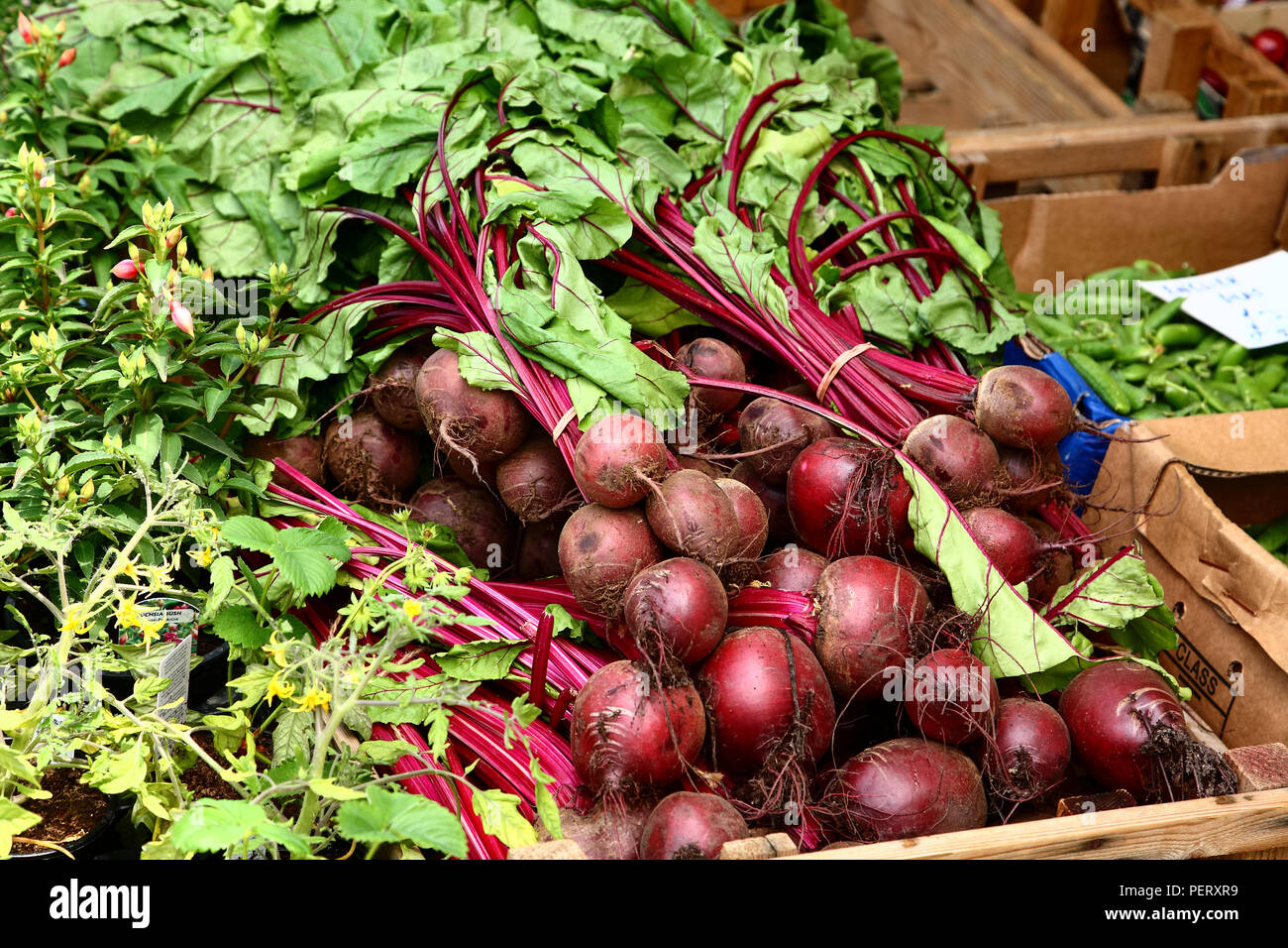 Beetroot in market stall hi-res stock photography and images - Alamy