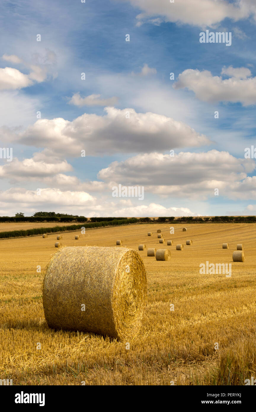 Harvest Bales, Wolds East Yorkshire UK Stock Photo - Alamy