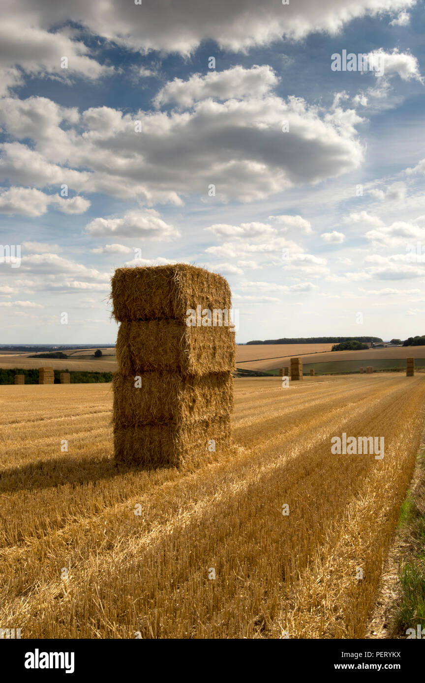 Harvest Bales, Wolds East Yorkshire UK Stock Photo - Alamy