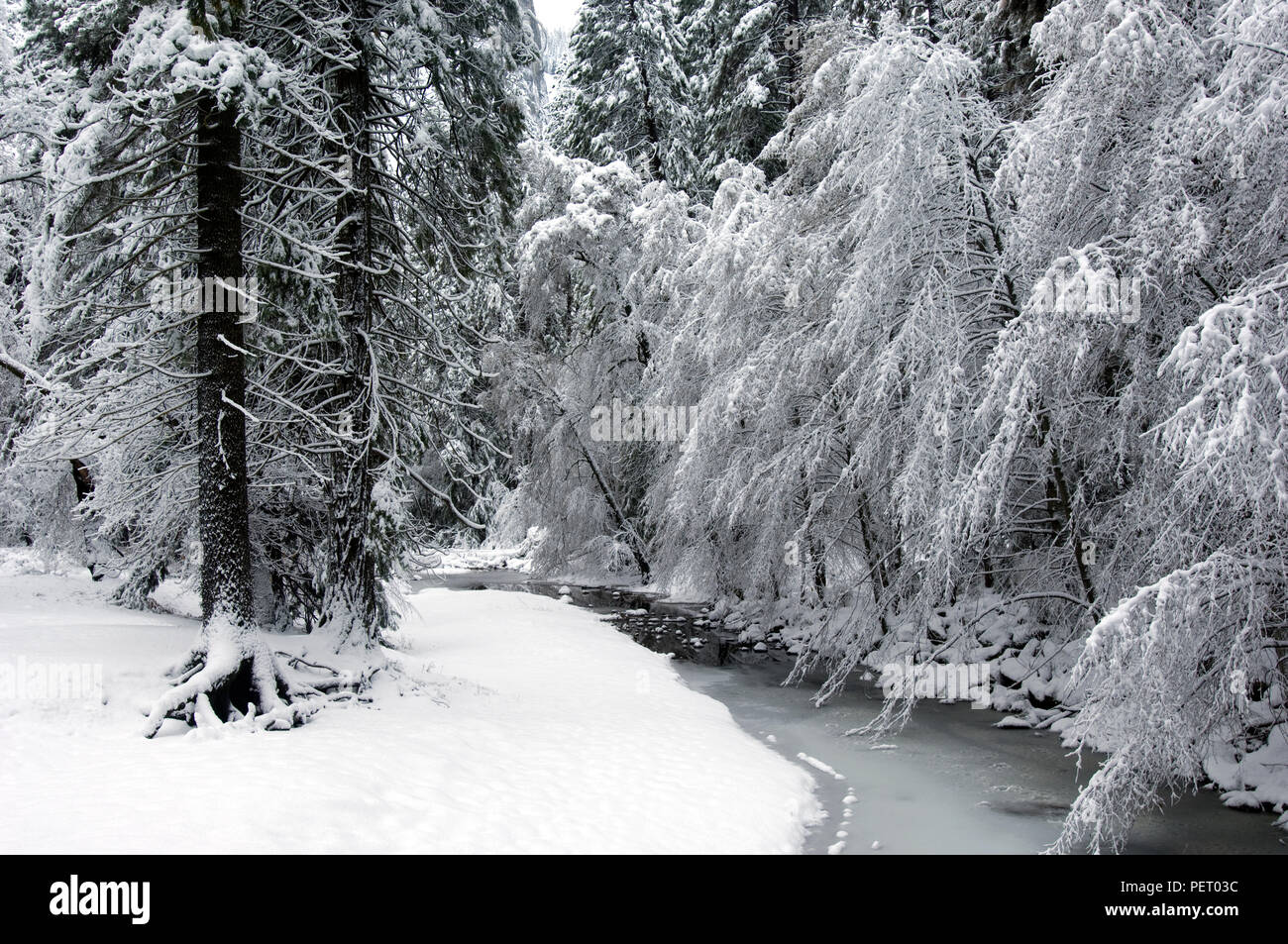 Merced river in winter hi-res stock photography and images - Alamy