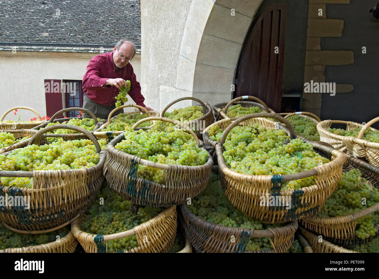 Corton charlemagne hi-res stock photography and images - Alamy