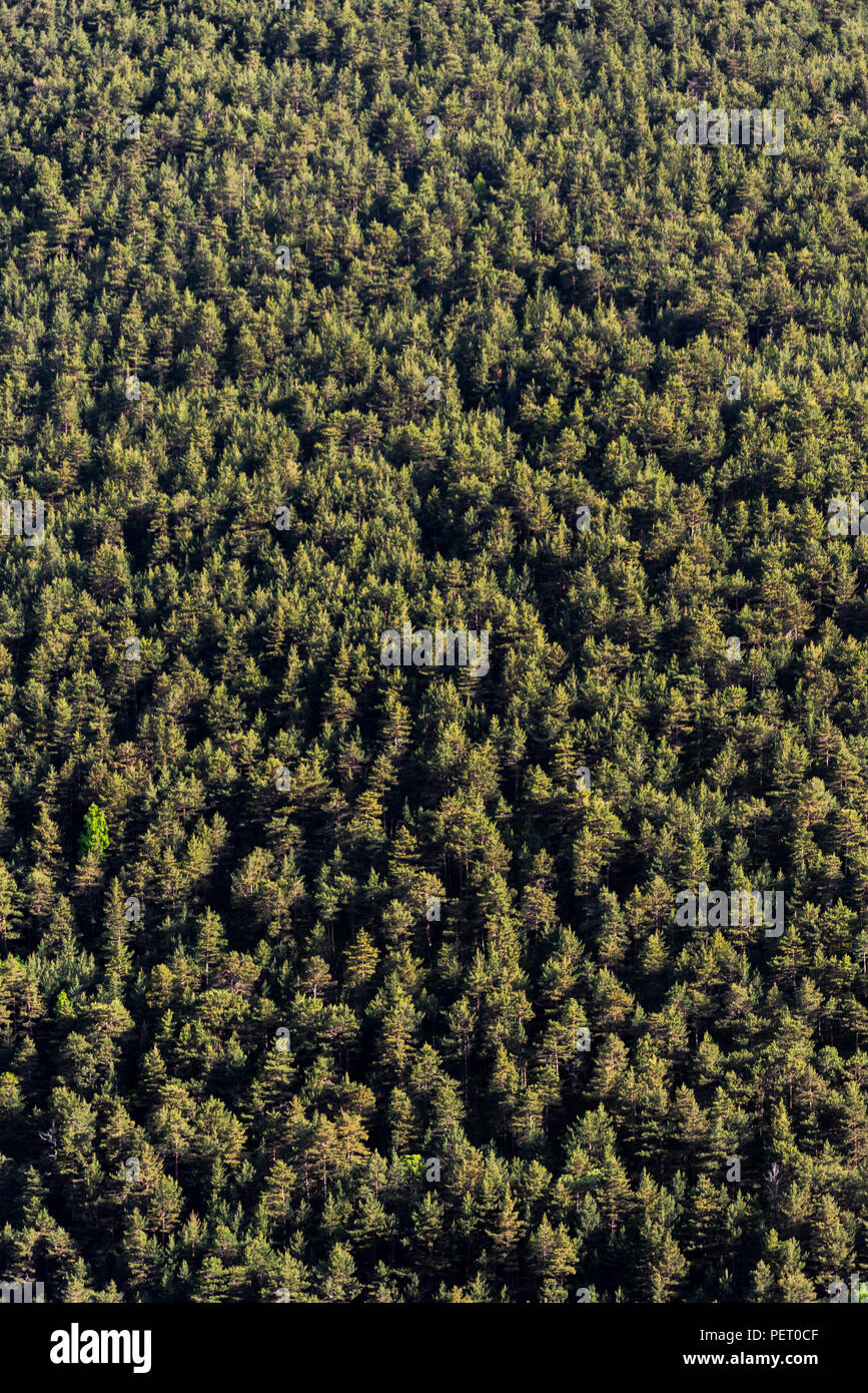 Spring in Sant Julia de Loria, Andorra Stock Photo - Alamy