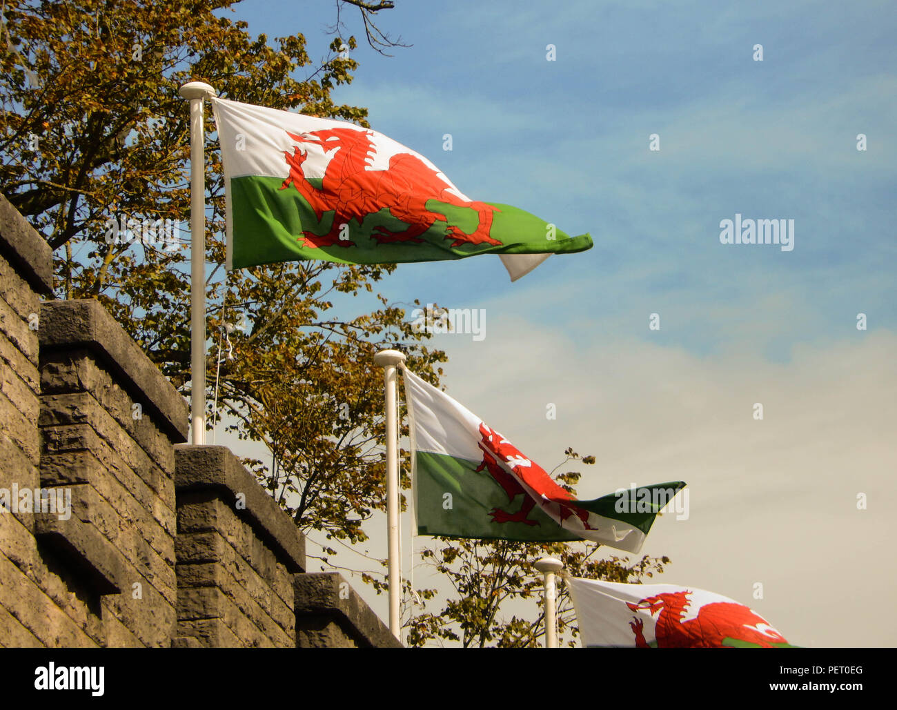 Welsh flags flying from Cardiff Castle in the city centre Stock Photo ...