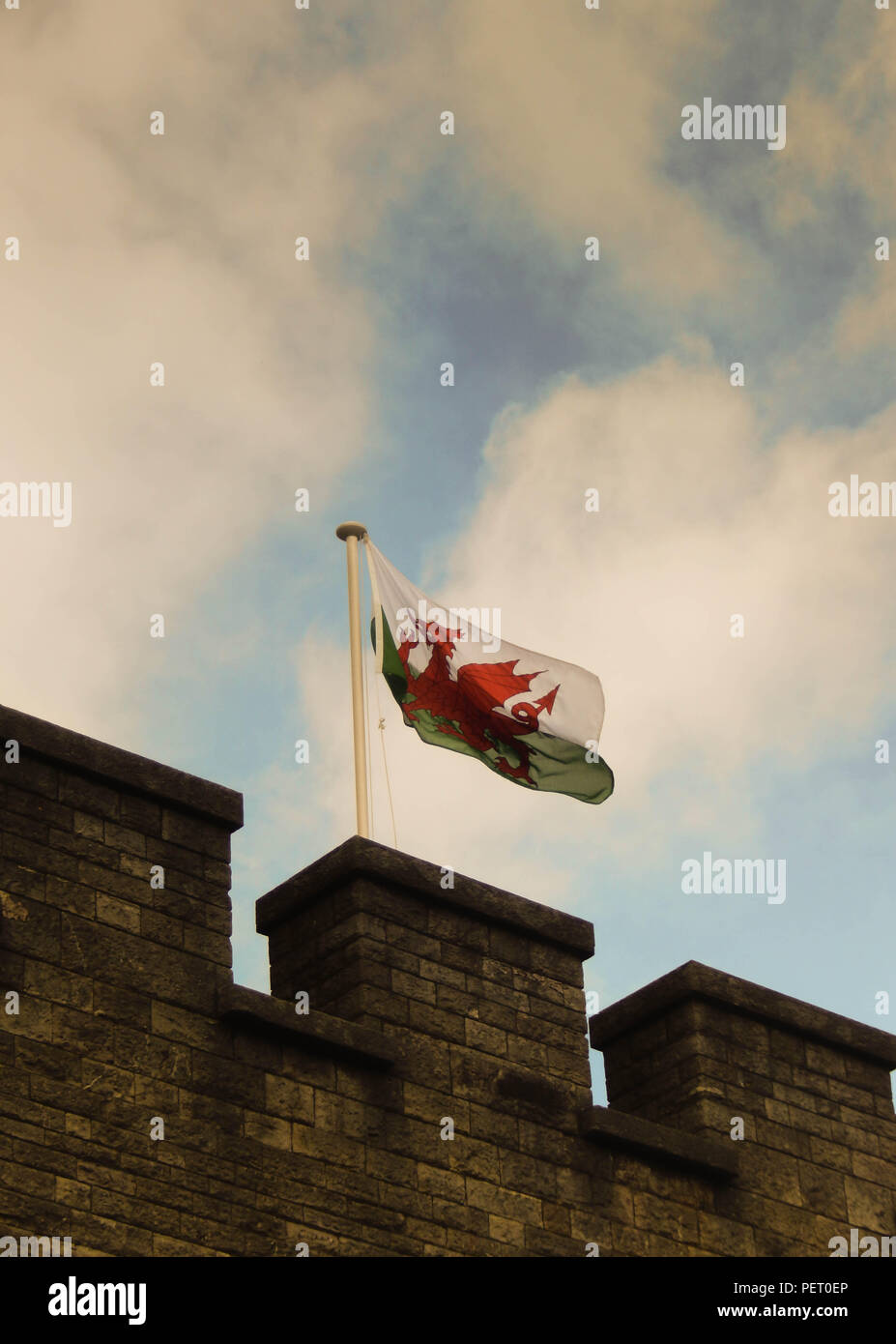 Welsh flags flying from Cardiff Castle in the city centre Stock Photo ...