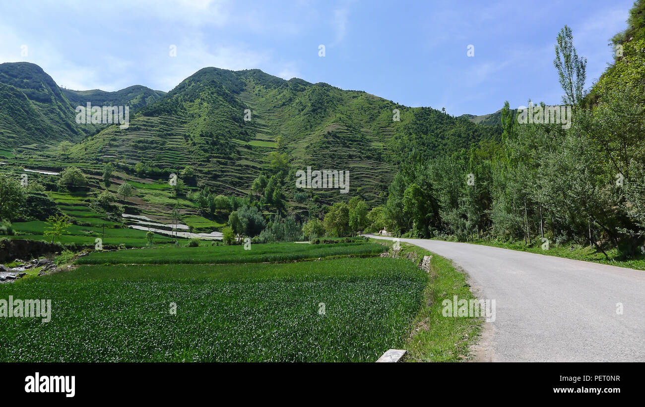 A Large Area of Terraces Stock Photo - Alamy
