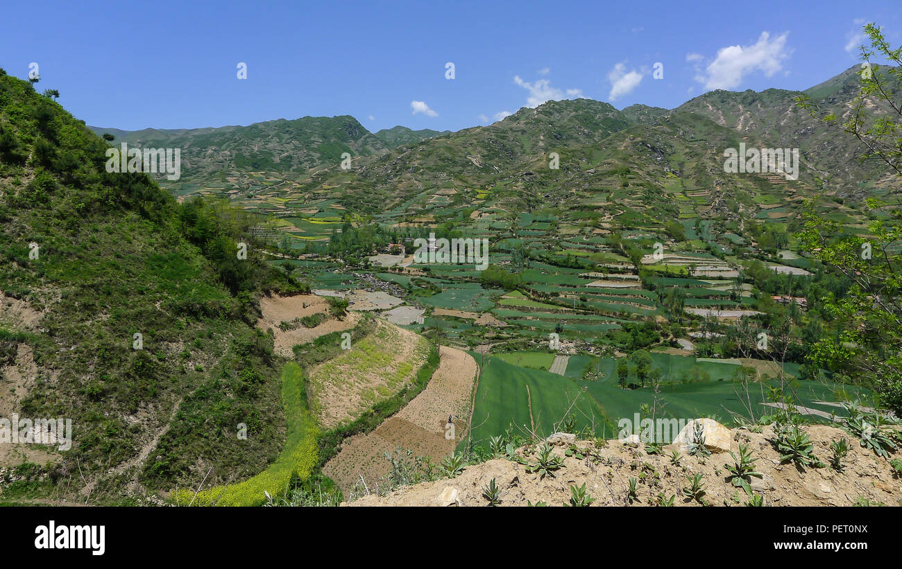 A Large Area of Terraces Stock Photo - Alamy